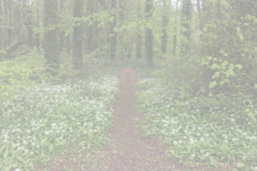 The Noble Eightfold Path